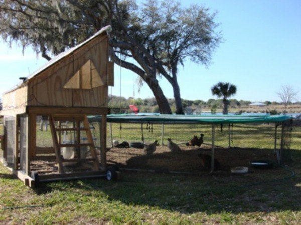 DIY Trampoline Chicken Coop [Picture Instructions]